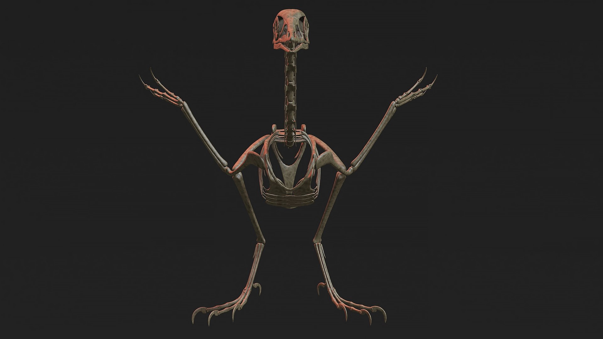 Archaeopteryx Skeleton 3D - TurboSquid 1228788