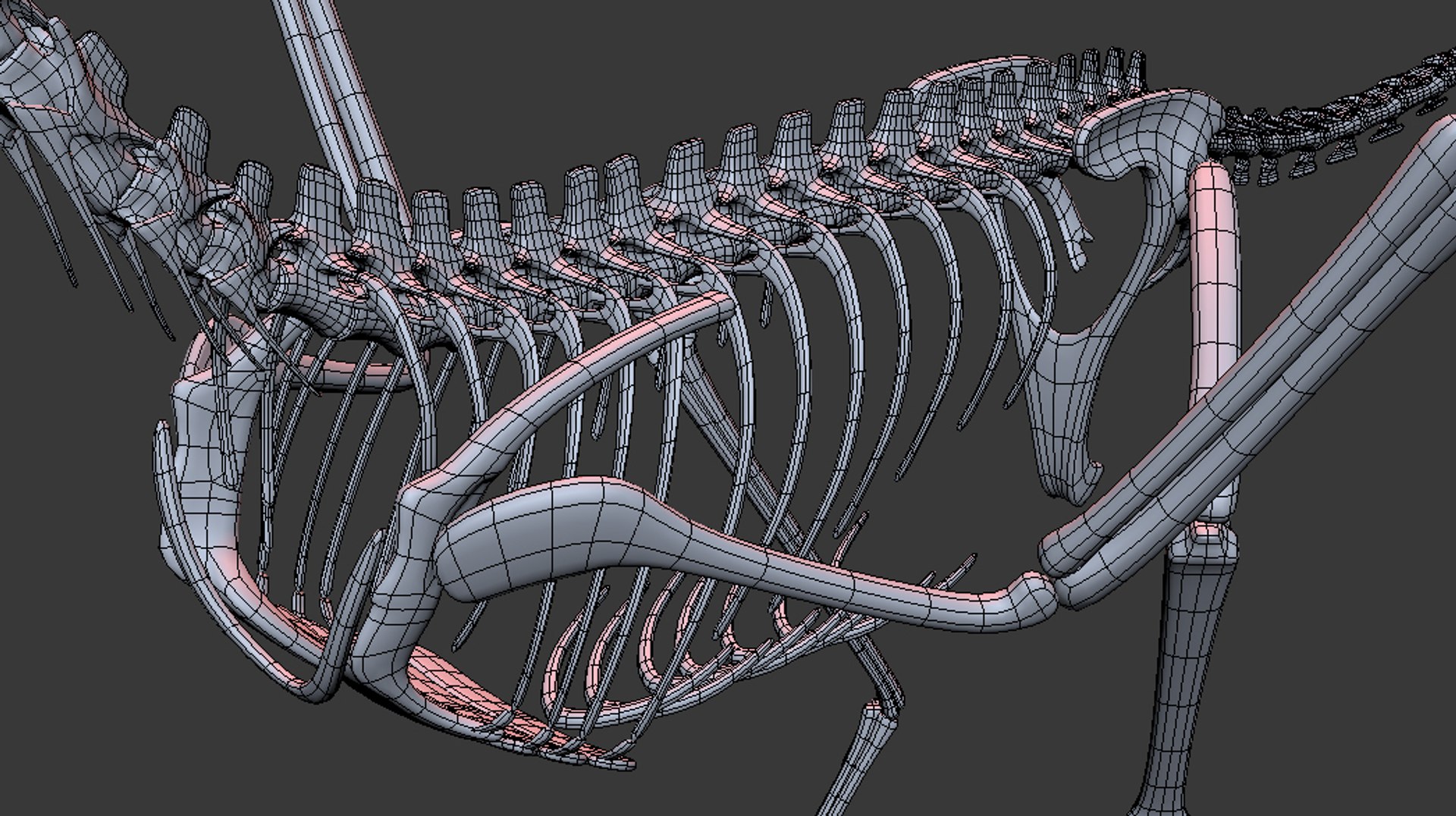 Archaeopteryx Skeleton 3D - TurboSquid 1228788
