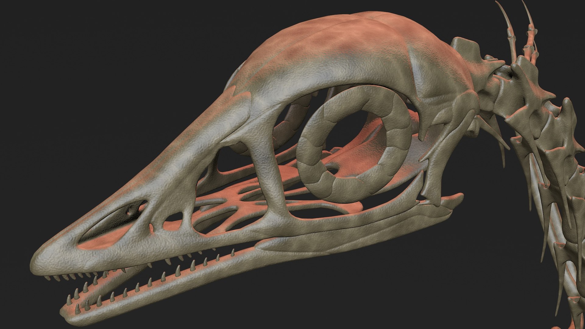Archaeopteryx Skeleton 3D - TurboSquid 1228788