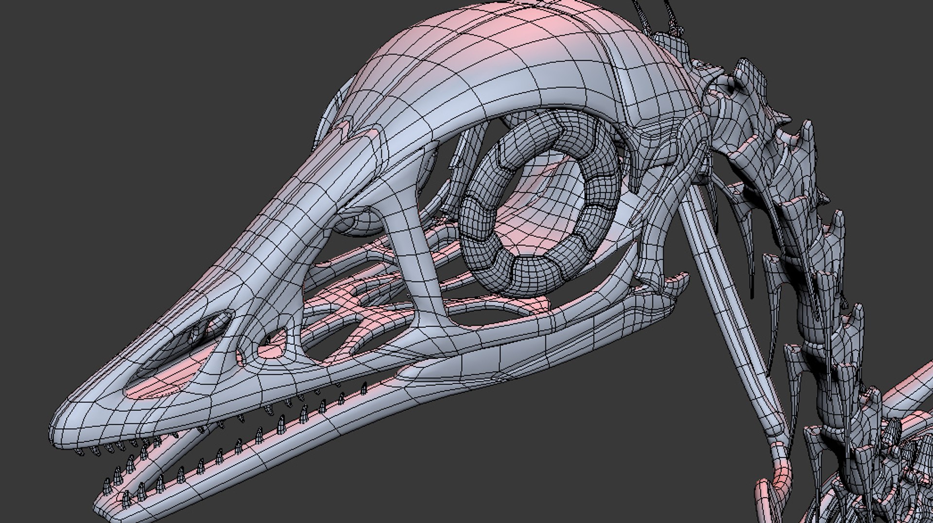Archaeopteryx Skeleton 3D - TurboSquid 1228788