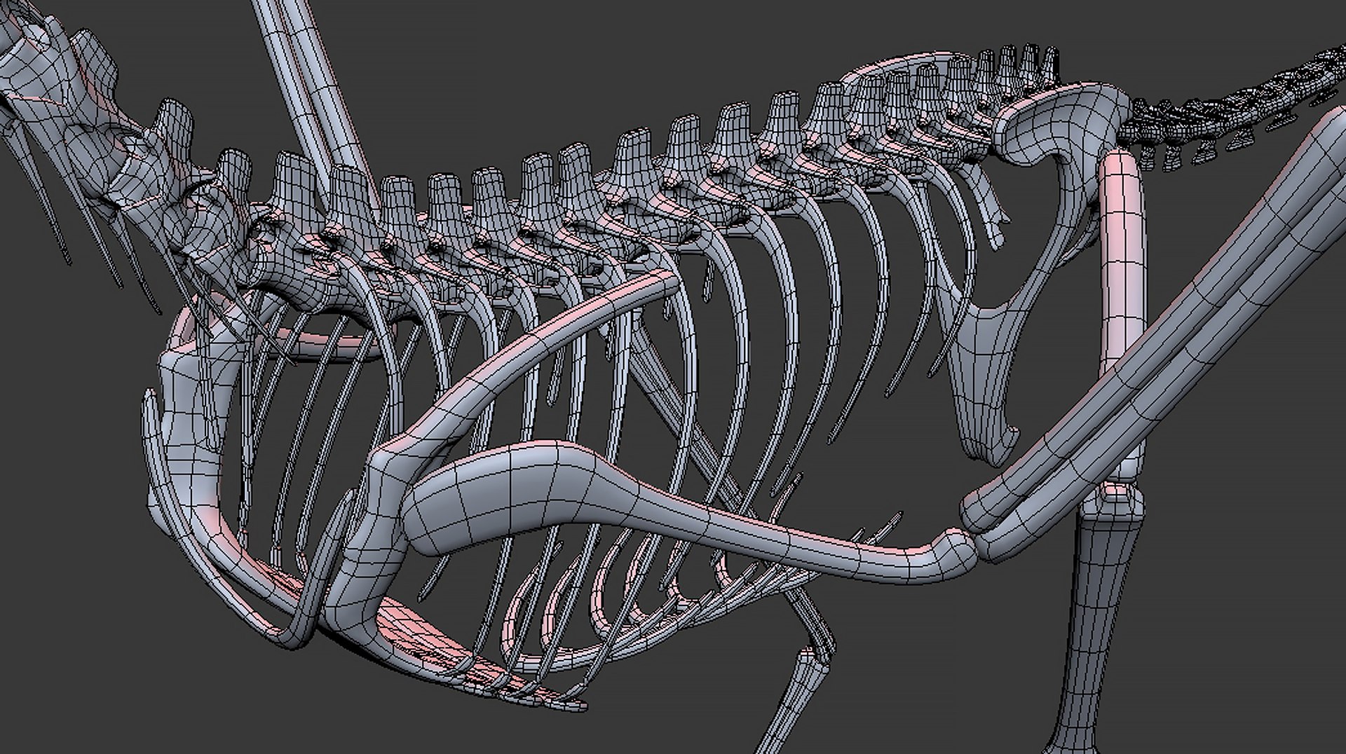 Archaeopteryx Skeleton 3D - TurboSquid 1228788