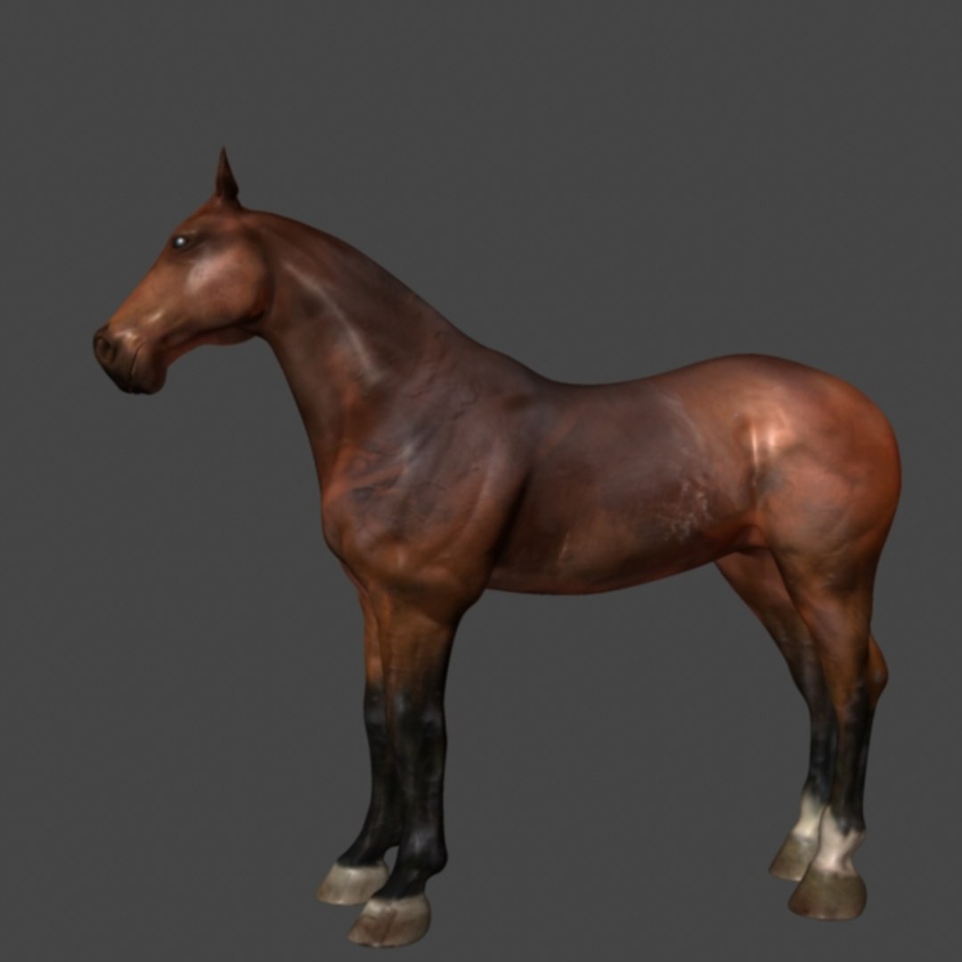 3d Model Horse