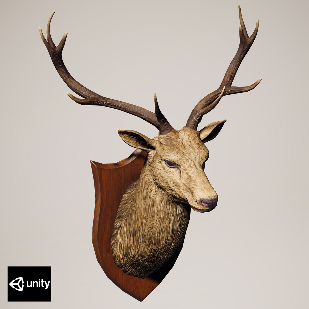 Trophy Deer Stag Model - TurboSquid 2389493