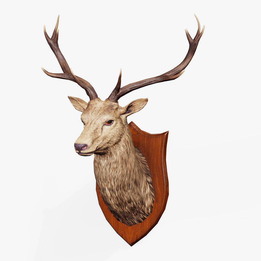 Trophy Deer Stag Model - TurboSquid 2389493
