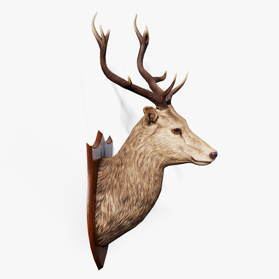 Trophy Deer Stag Model - TurboSquid 2389493