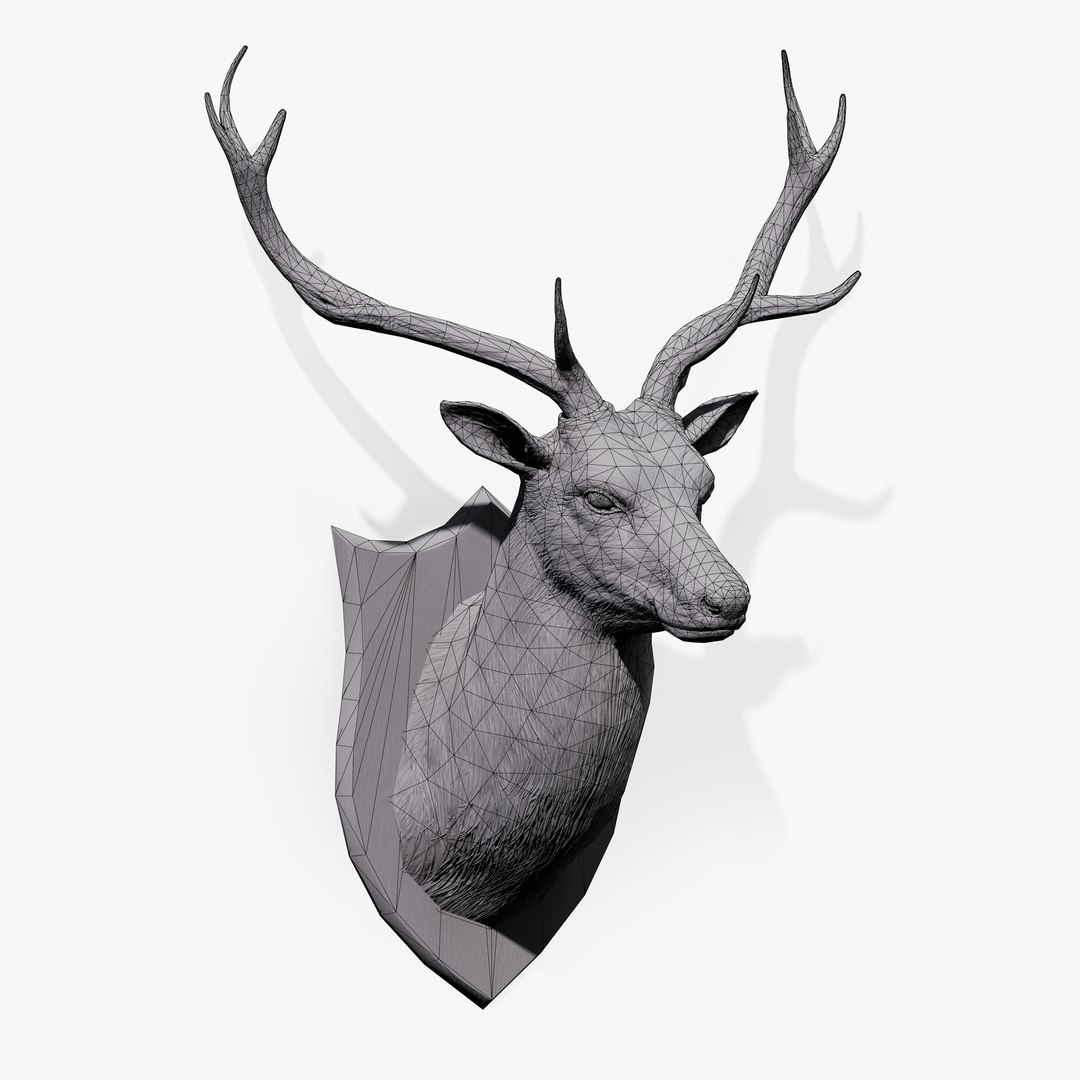 Trophy Deer Stag Model - TurboSquid 2389493