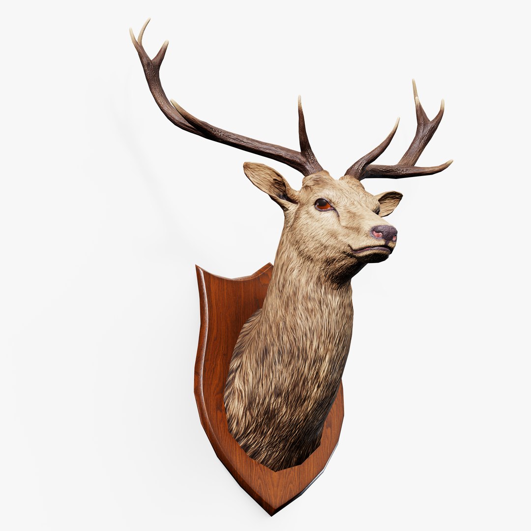 Trophy Deer Stag Model - TurboSquid 2389493