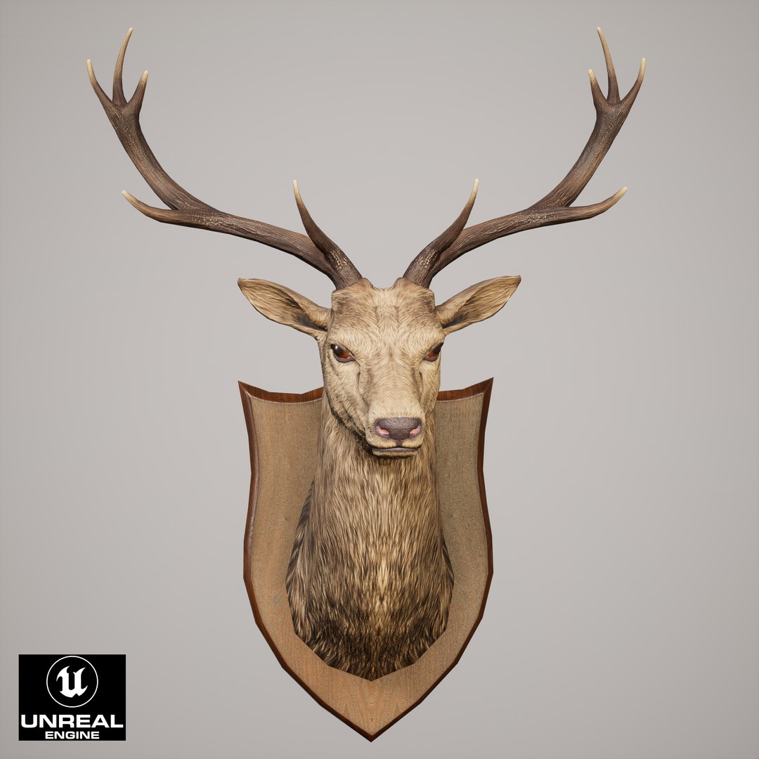 Trophy Deer Stag Model - TurboSquid 2389493