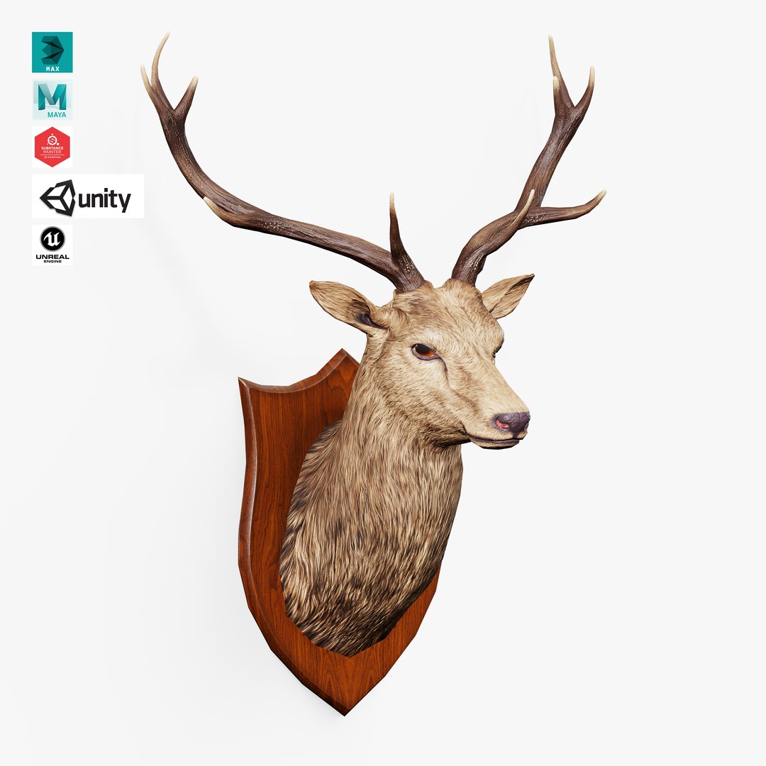 Trophy Deer Stag Model - TurboSquid 2389493