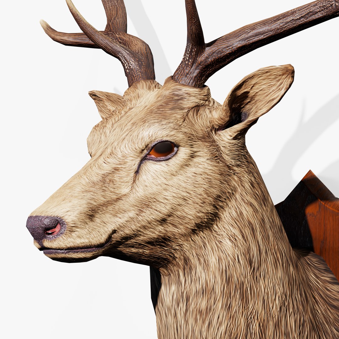 Trophy Deer Stag Model - TurboSquid 2389493