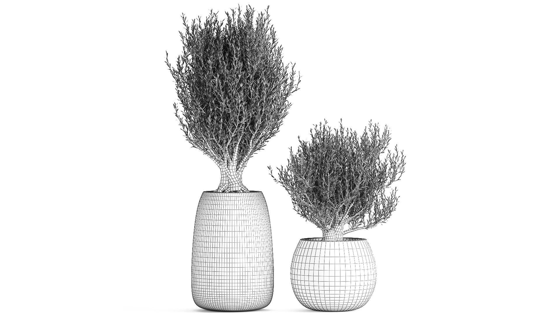 Flower Pot Trees 3D Model - TurboSquid 1680144