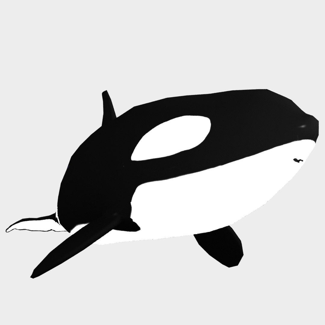 Low Poly Orca 3D Model - TurboSquid 2093627