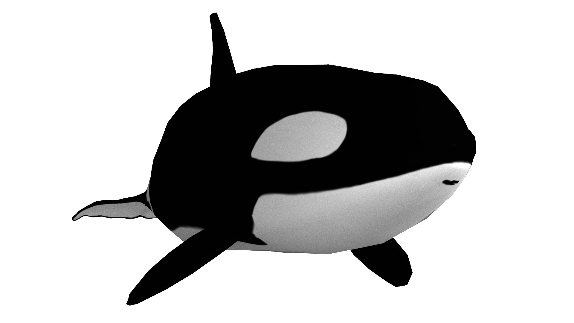 Low Poly Orca 3D Model - TurboSquid 2093627