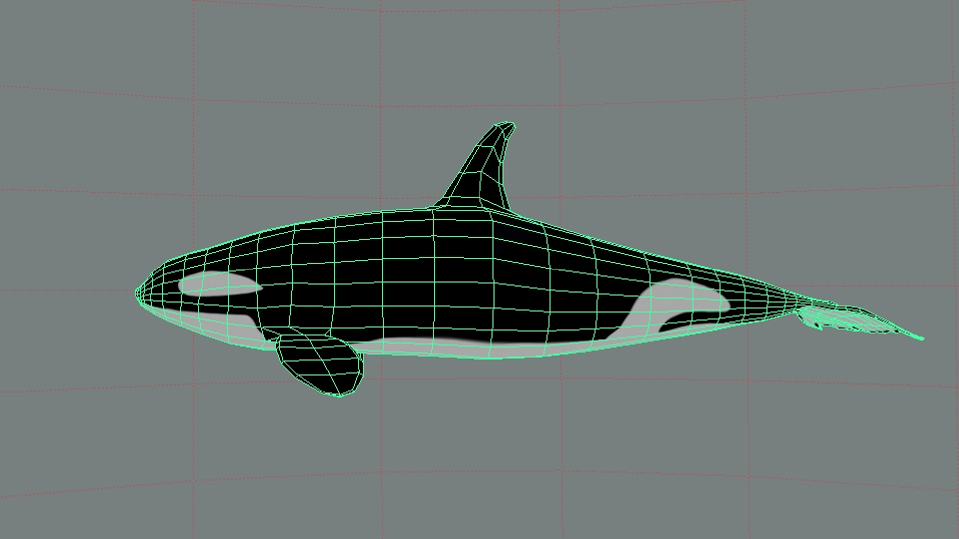 Low Poly Orca 3D Model - TurboSquid 2093627