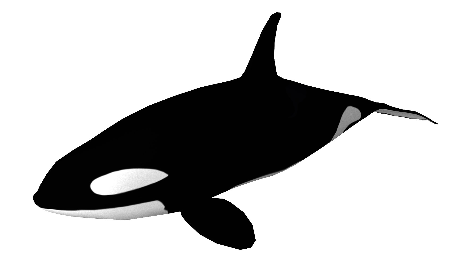 Low Poly Orca 3D Model - TurboSquid 2093627