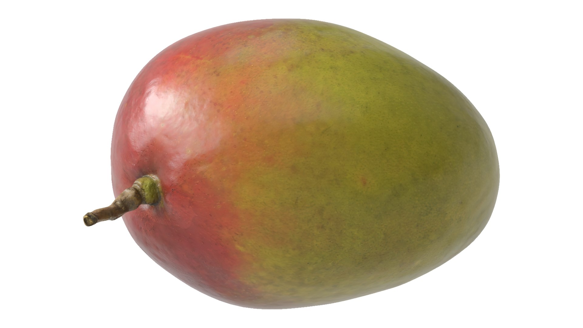 Mango Model - TurboSquid 1962608