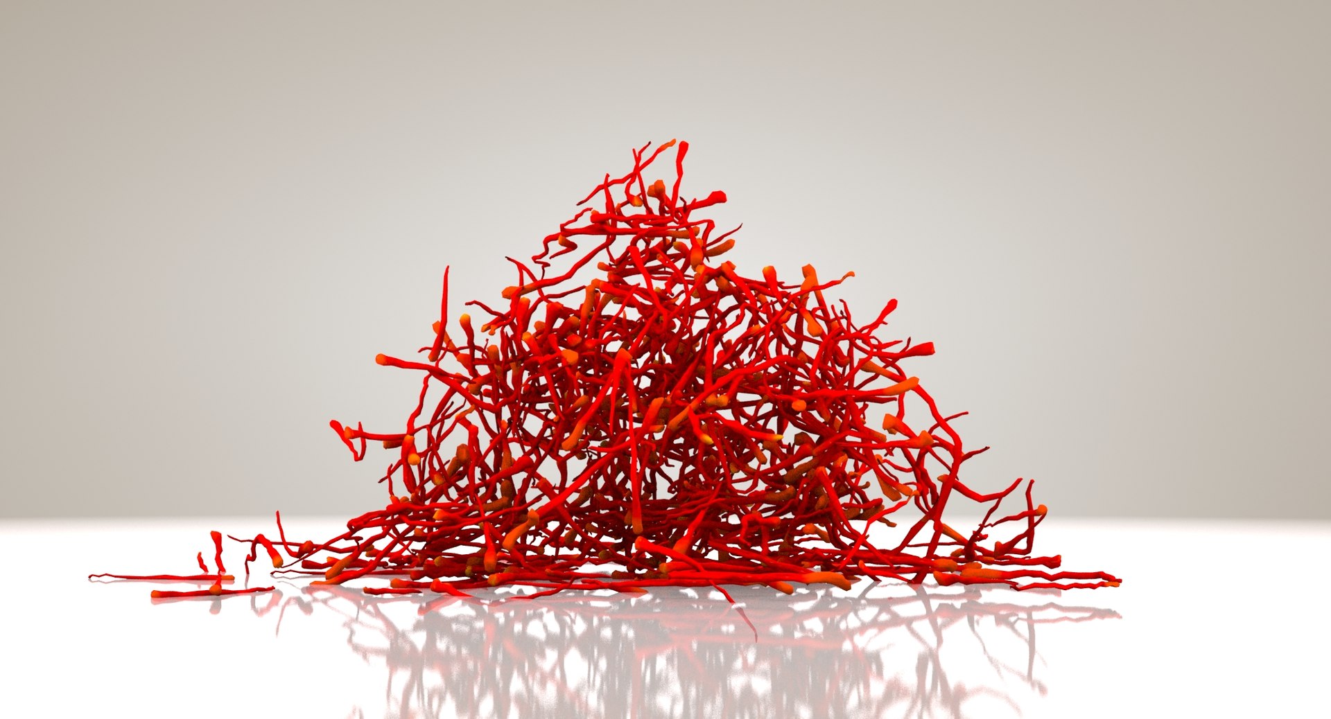 Saffron Stigma 3D - TurboSquid 1420492