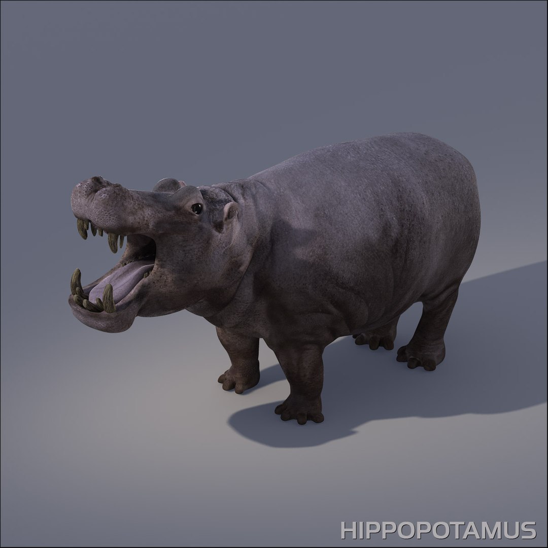 3dsmax Realistic Hippopotamus