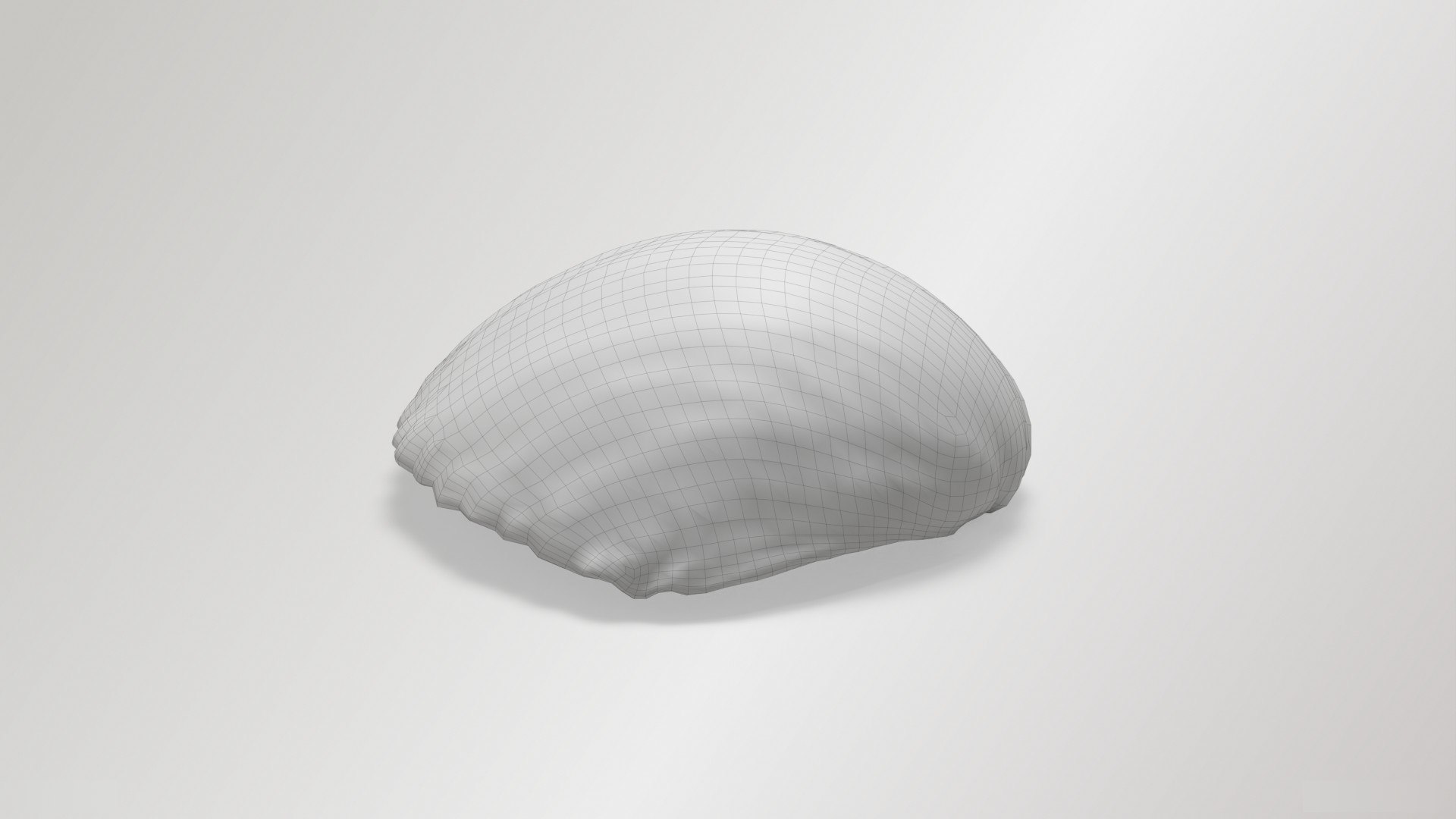 3D Cockle Shell Model - TurboSquid 2265915