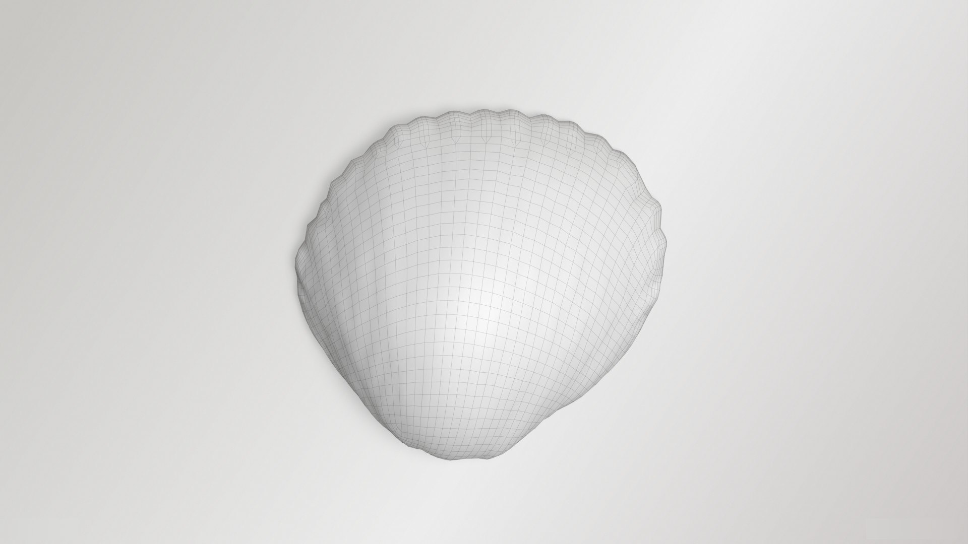 3D Cockle Shell Model - TurboSquid 2265915