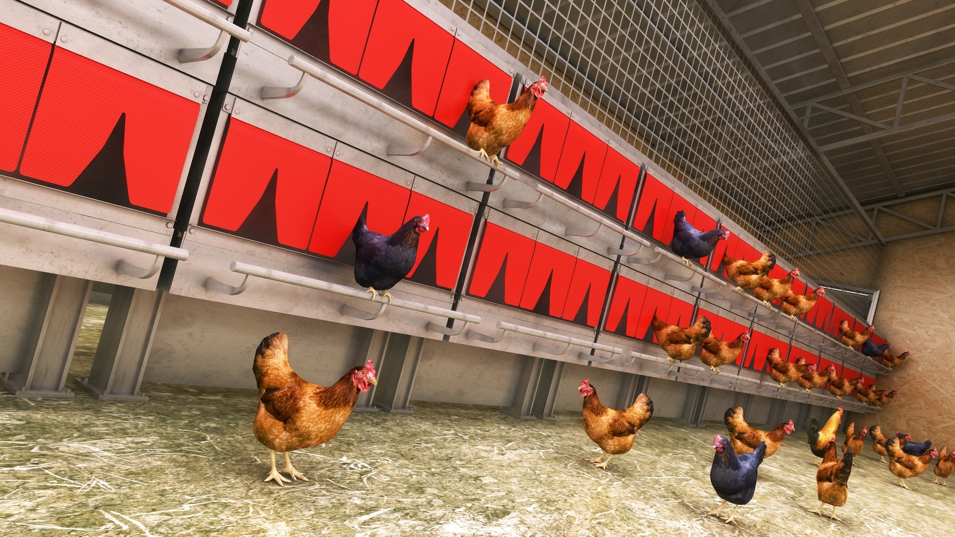 Big Chicken Farm Scane 3D model - TurboSquid 1896370