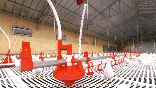 Big Chicken Farm Scane 3D model - TurboSquid 1896370