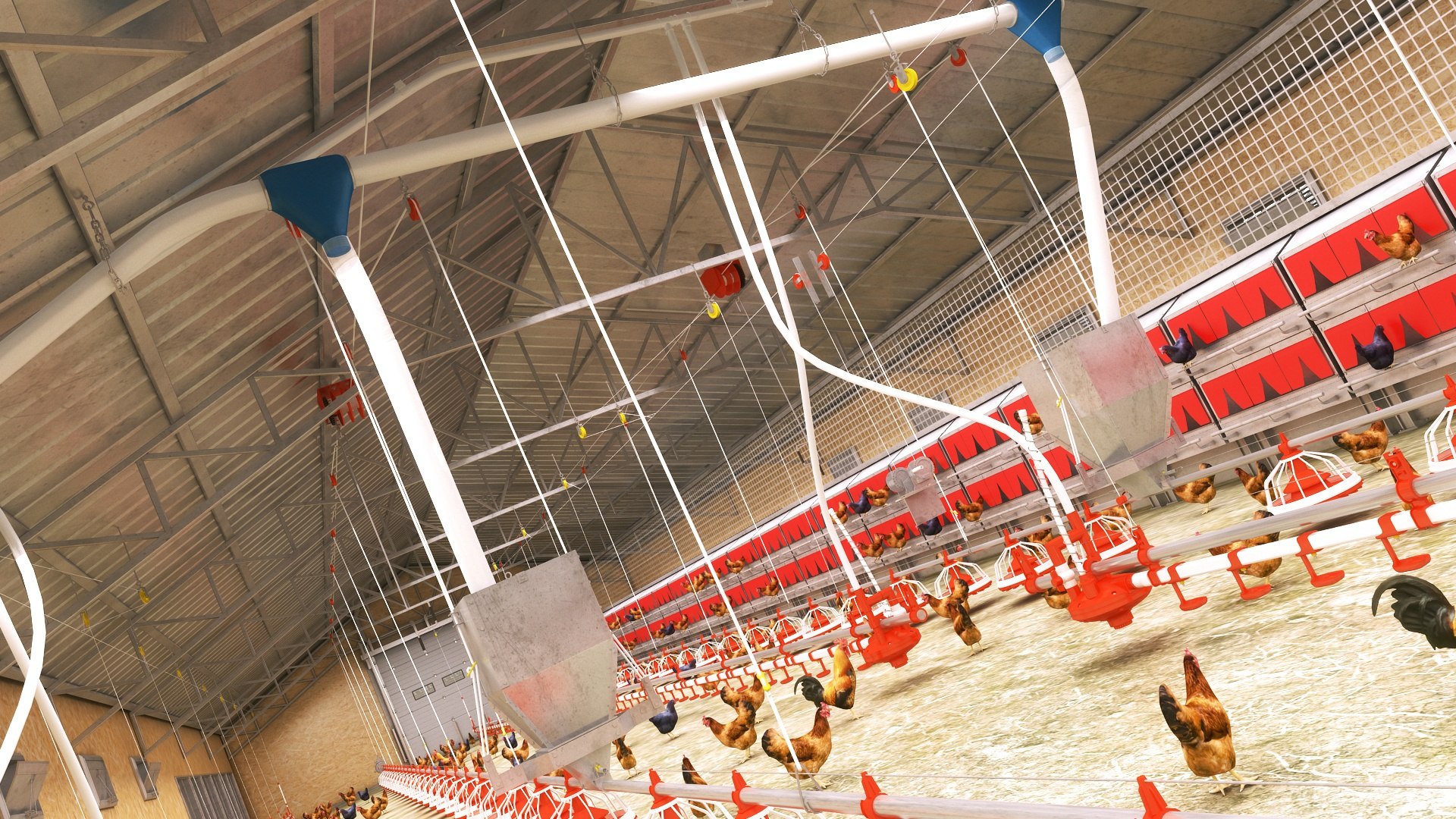 Big Chicken Farm Scane 3D model - TurboSquid 1896370