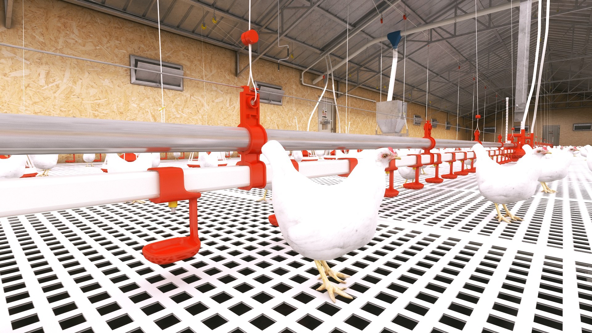 Big Chicken Farm Scane 3D model - TurboSquid 1896370