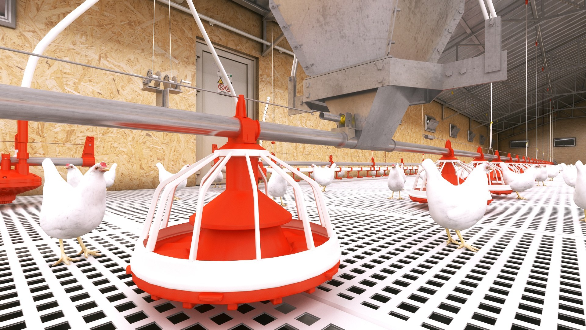 Big Chicken Farm Scane 3D model - TurboSquid 1896370