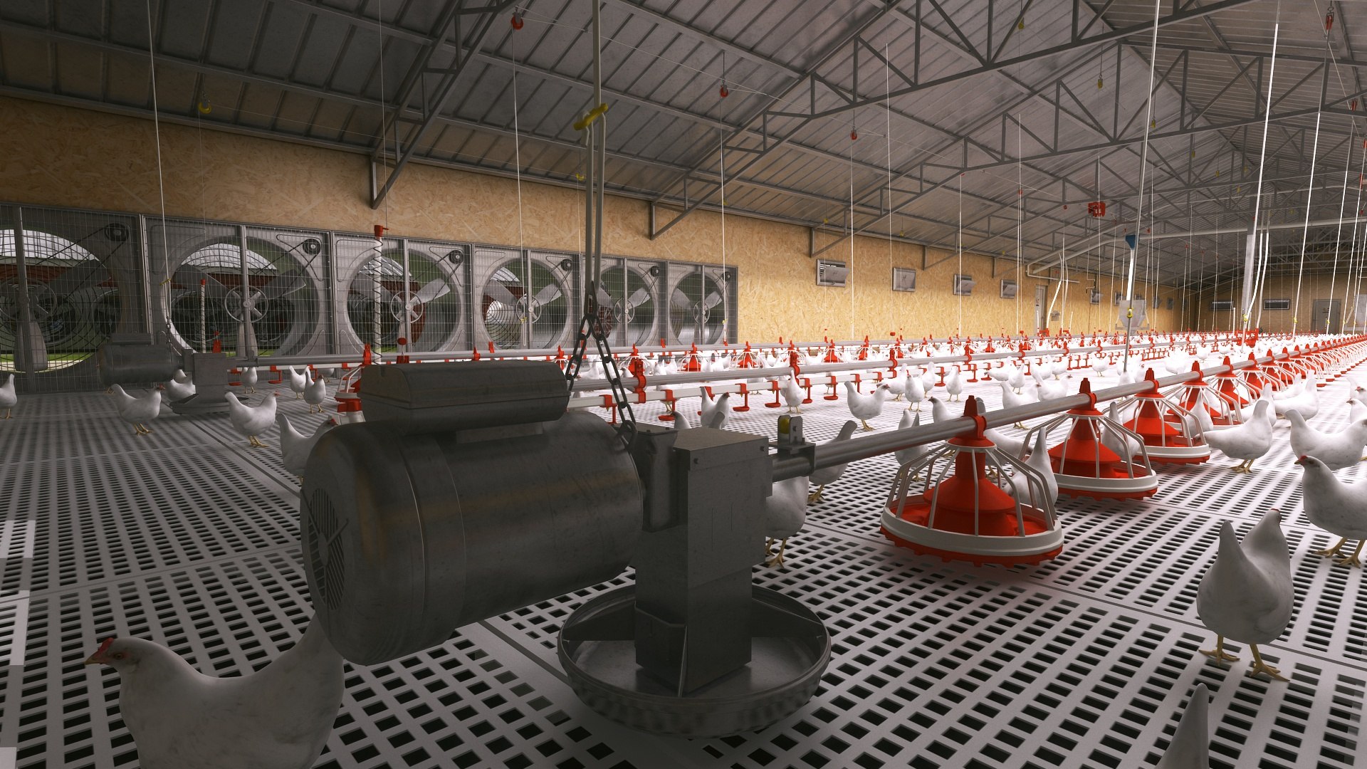 Big Chicken Farm Scane 3D model - TurboSquid 1896370