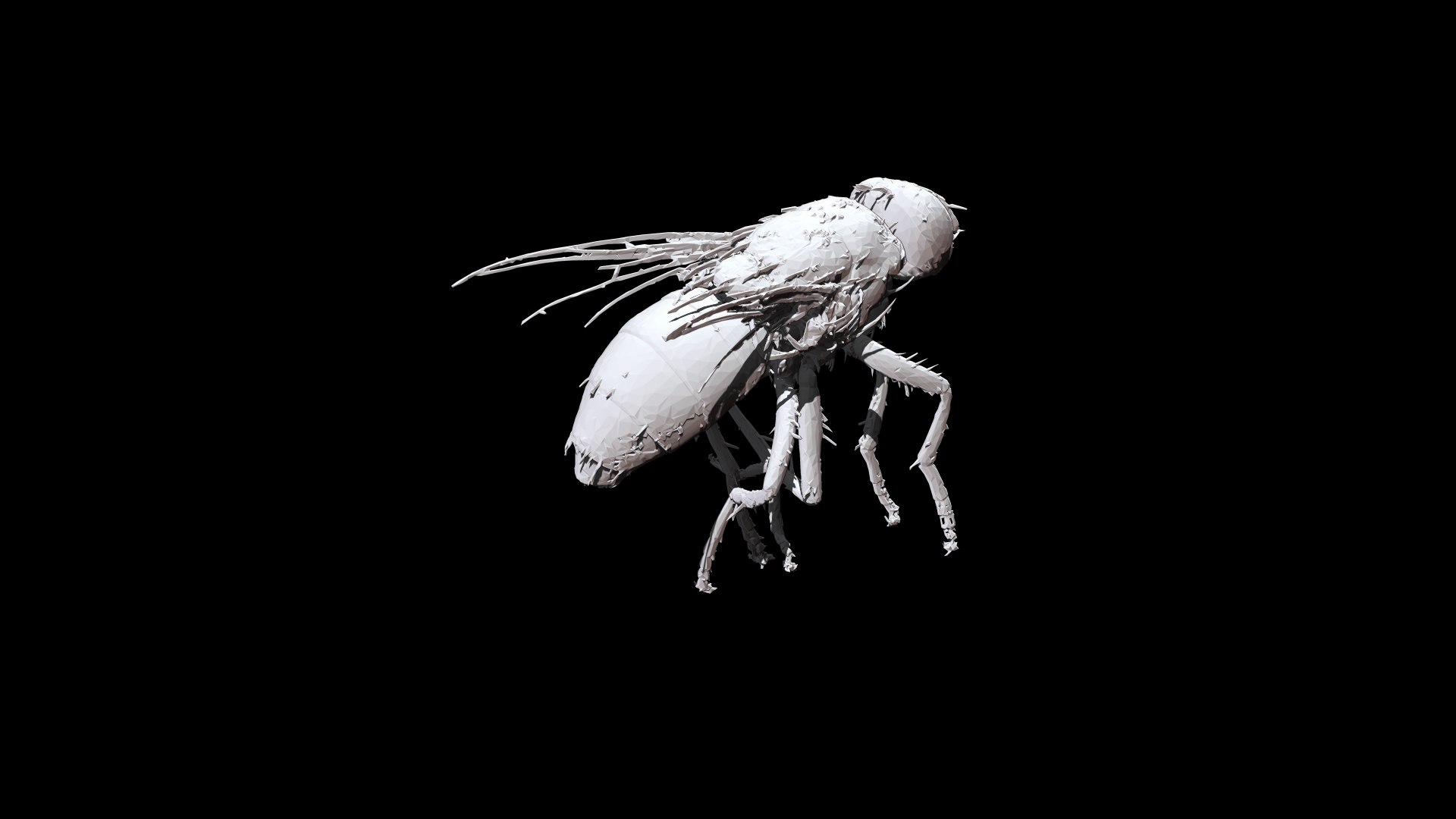 Fly 3D CT Scan Model Low Poly 3D - TurboSquid 1801759