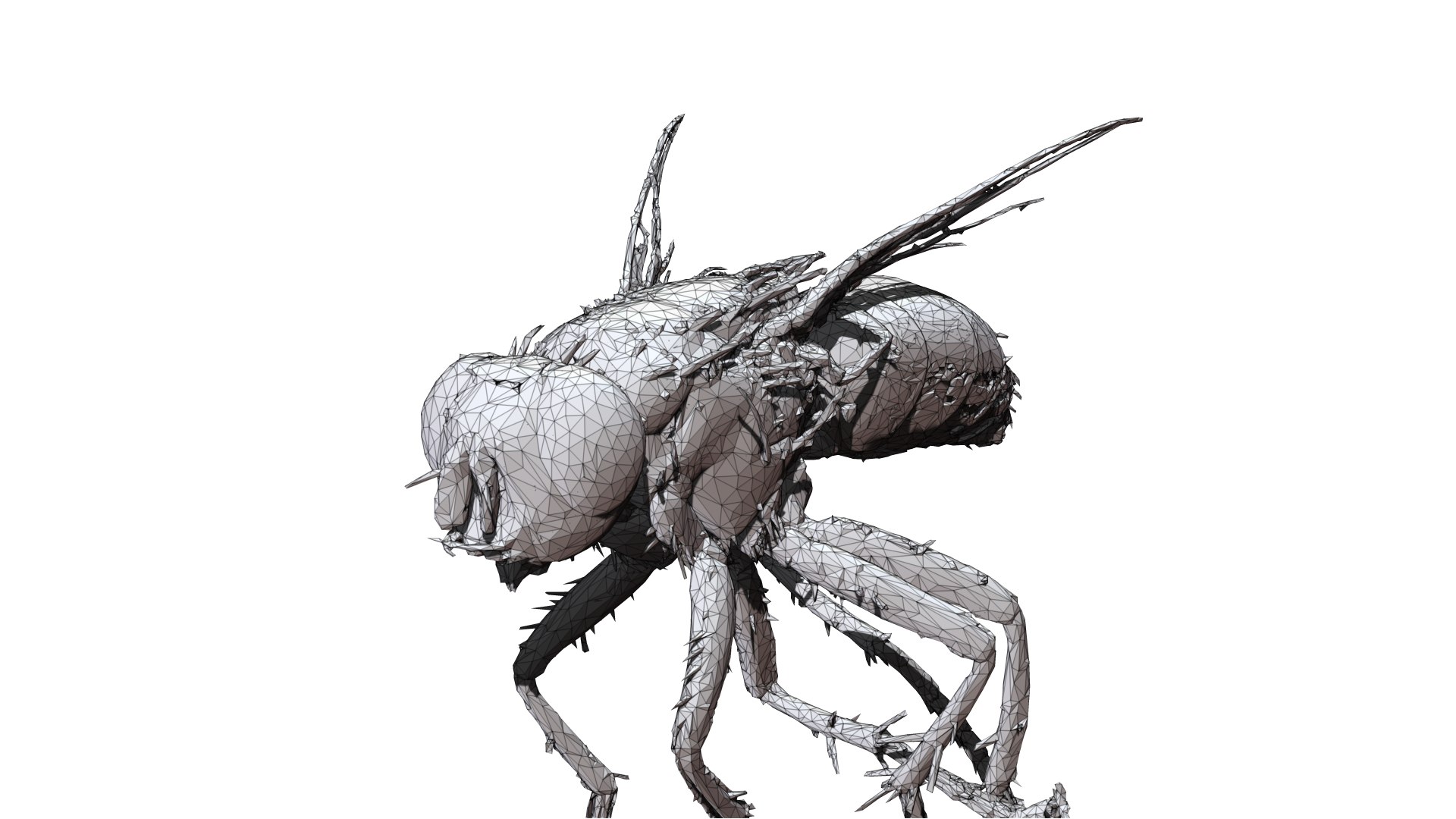 Fly 3D CT Scan Model Low Poly 3D - TurboSquid 1801759