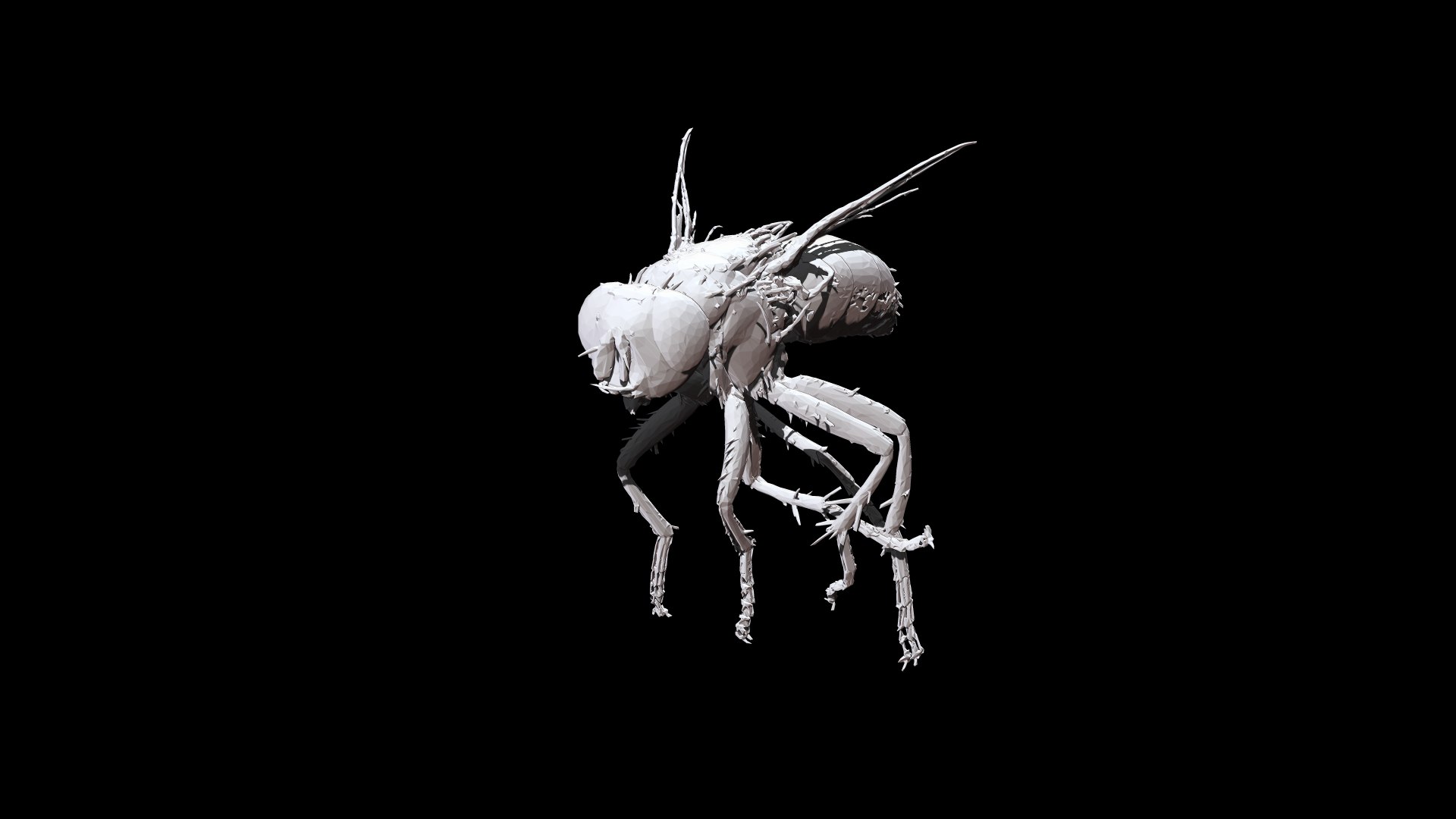 Fly 3D CT Scan Model Low Poly 3D - TurboSquid 1801759