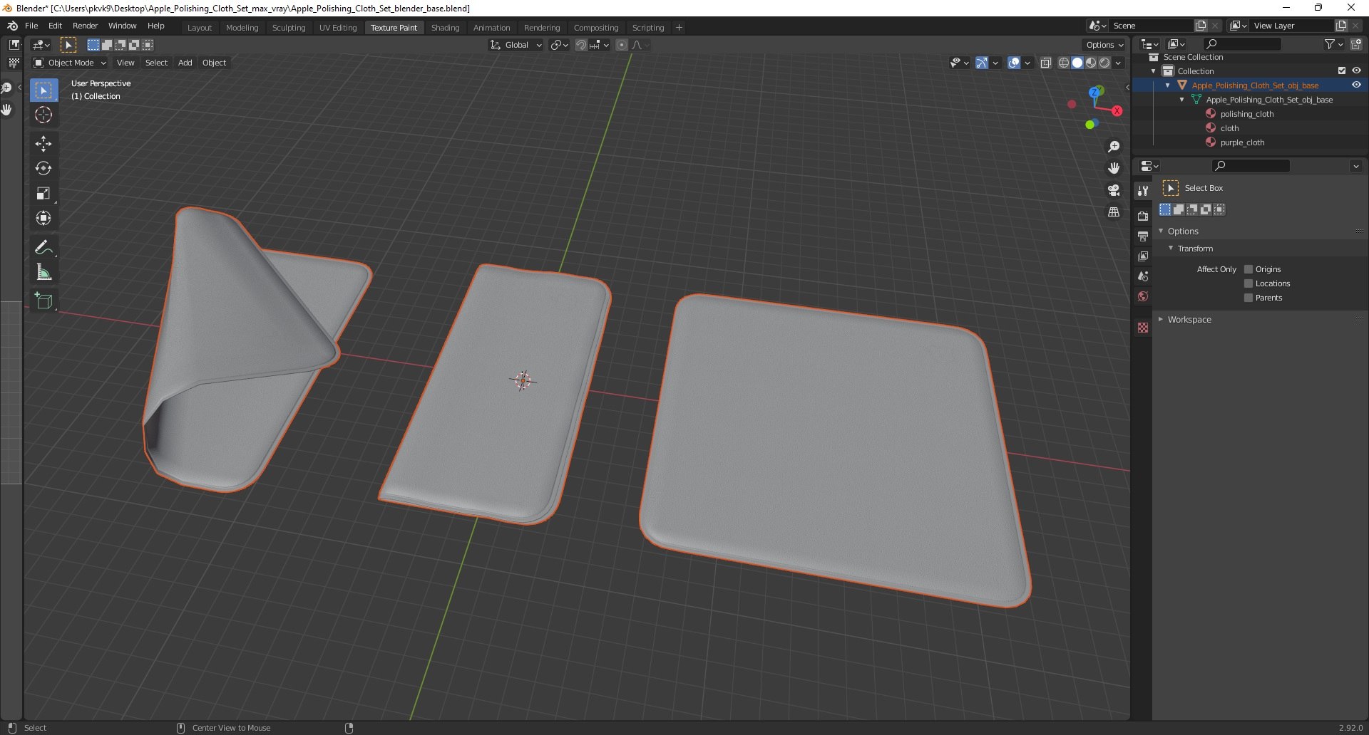 3D Model Apple Polishing Cloth Set - TurboSquid 1821181