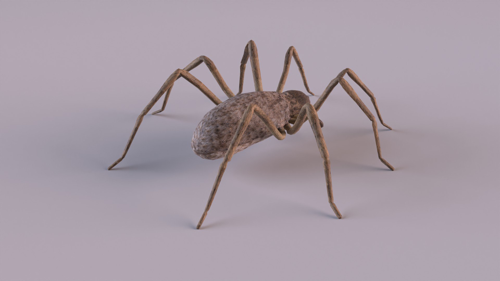 Crab Spider 3D Model - TurboSquid 2230095