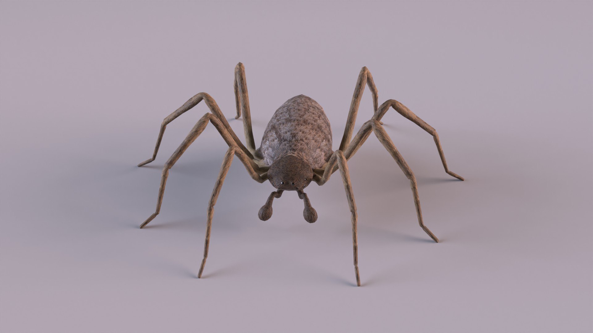 Crab Spider 3D Model - TurboSquid 2230095