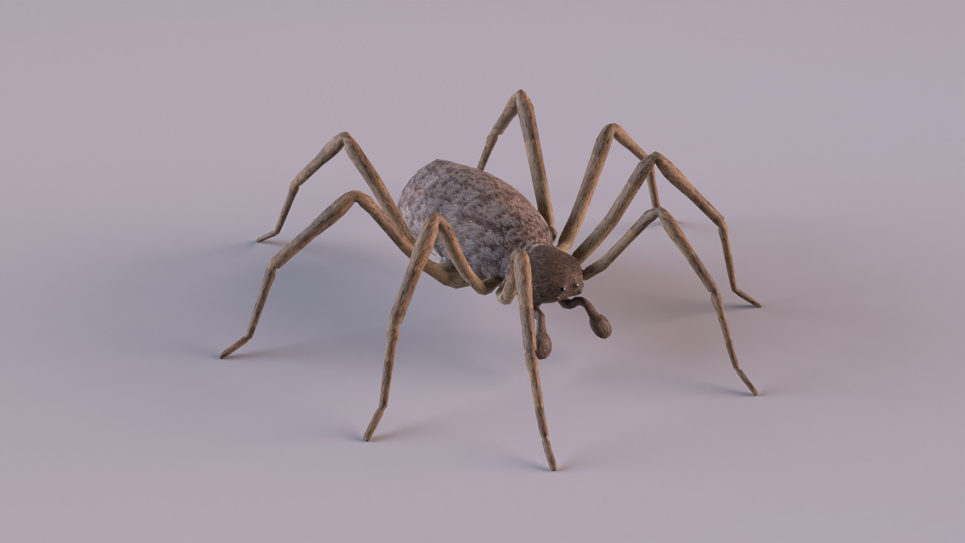 Crab Spider 3D Model - TurboSquid 2230095