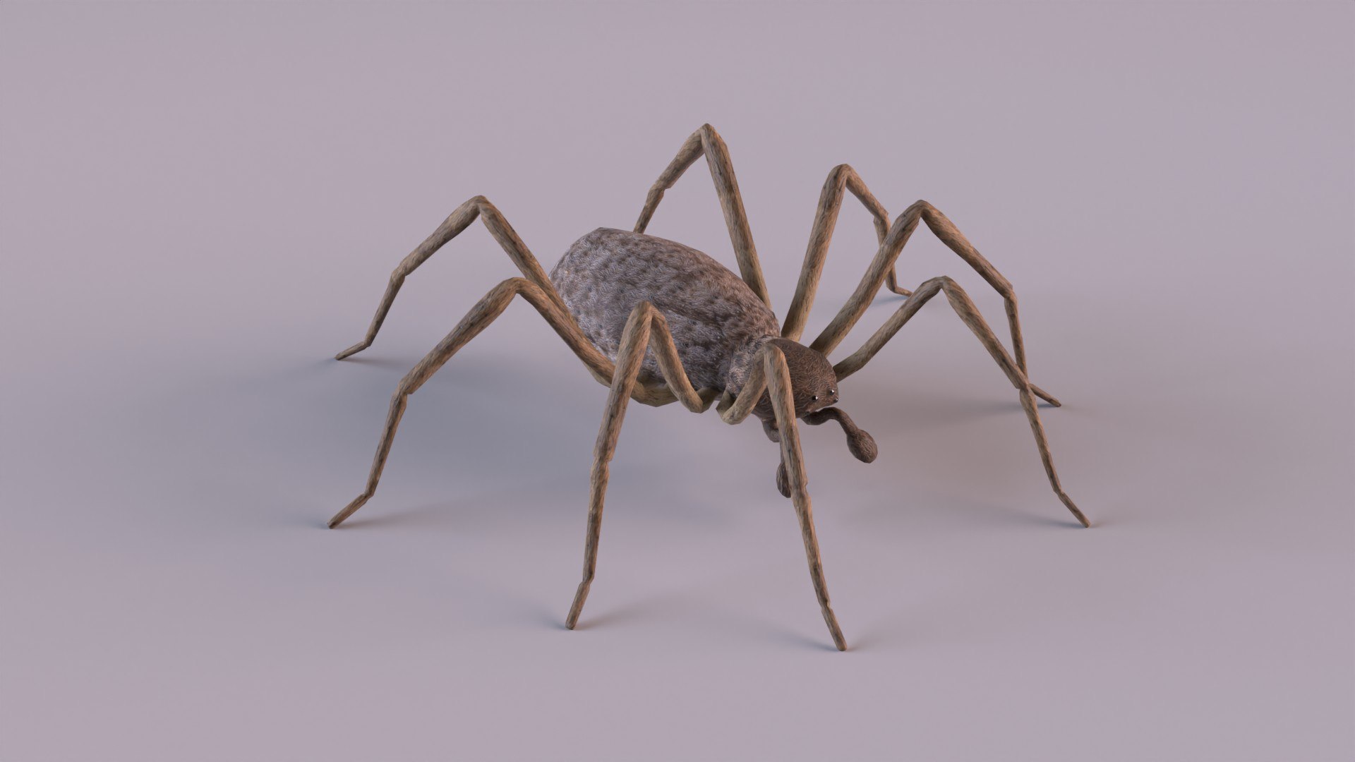 Crab Spider 3D Model - TurboSquid 2230095