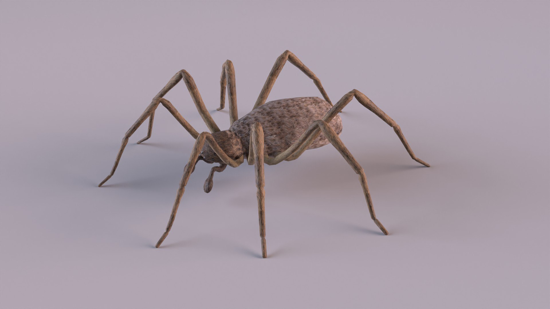 Crab Spider 3D Model - TurboSquid 2230095