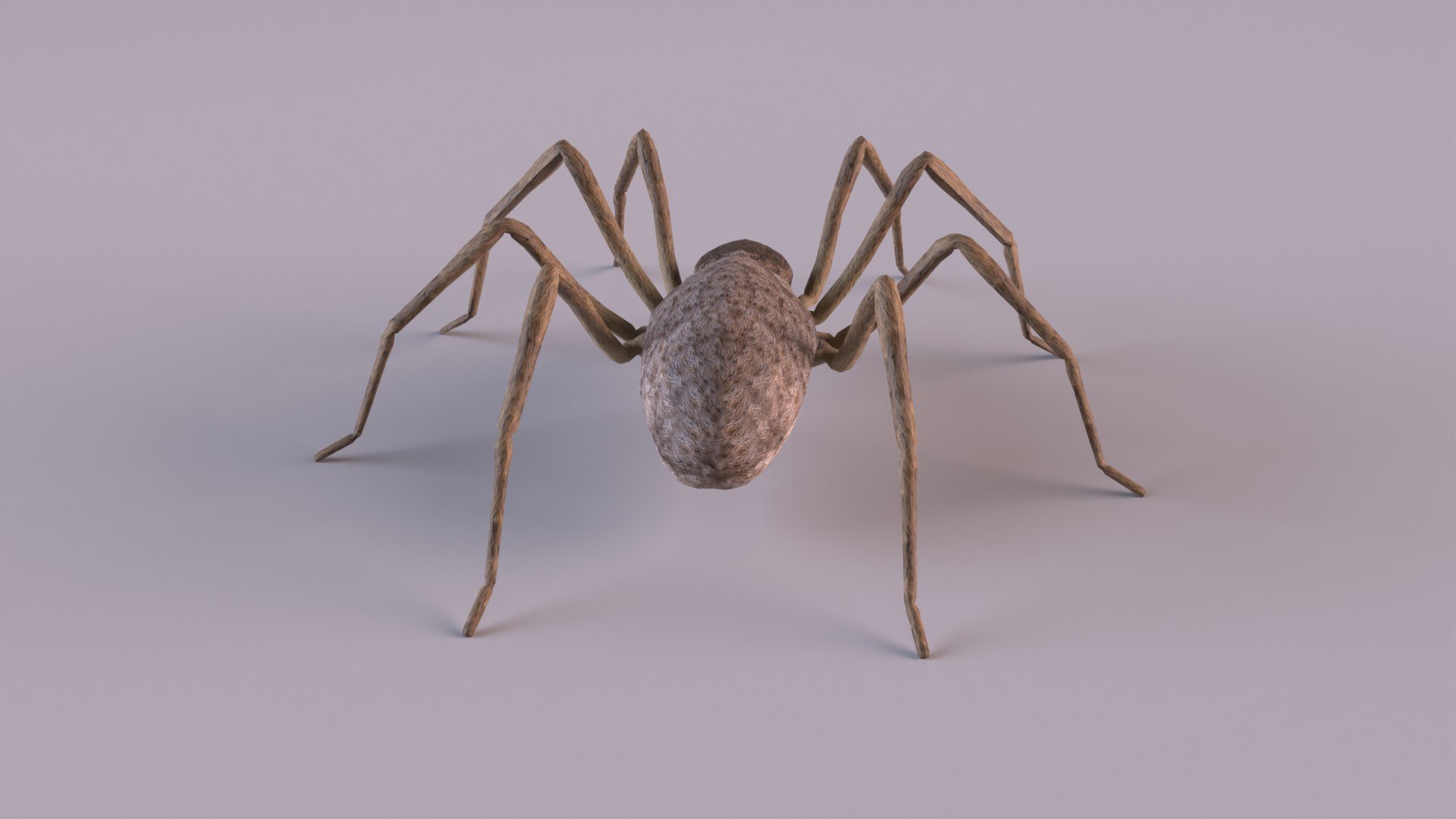 Crab Spider 3D Model - TurboSquid 2230095