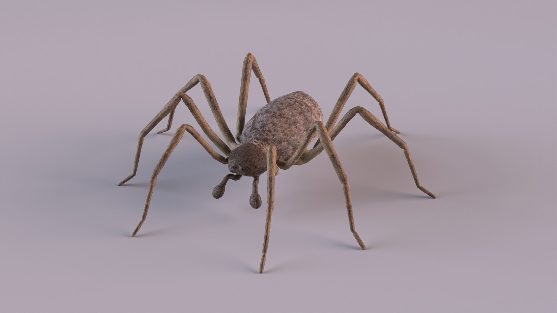 Crab Spider 3D Model - TurboSquid 2230095