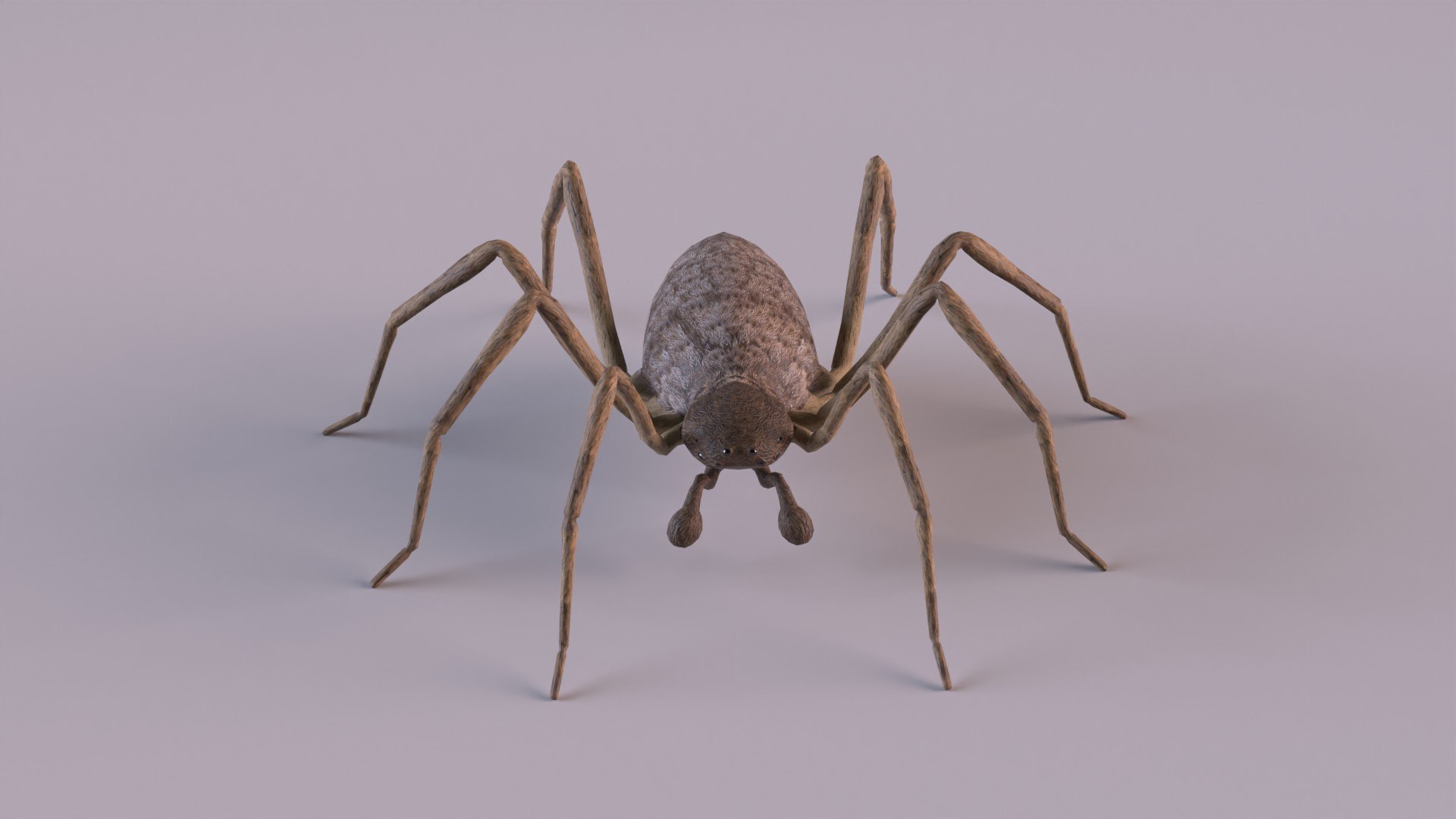 Crab Spider 3D Model - TurboSquid 2230095