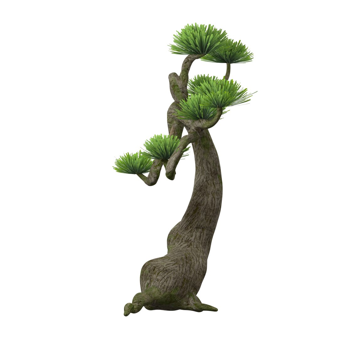 3D Pine Tree Model - TurboSquid 1473437