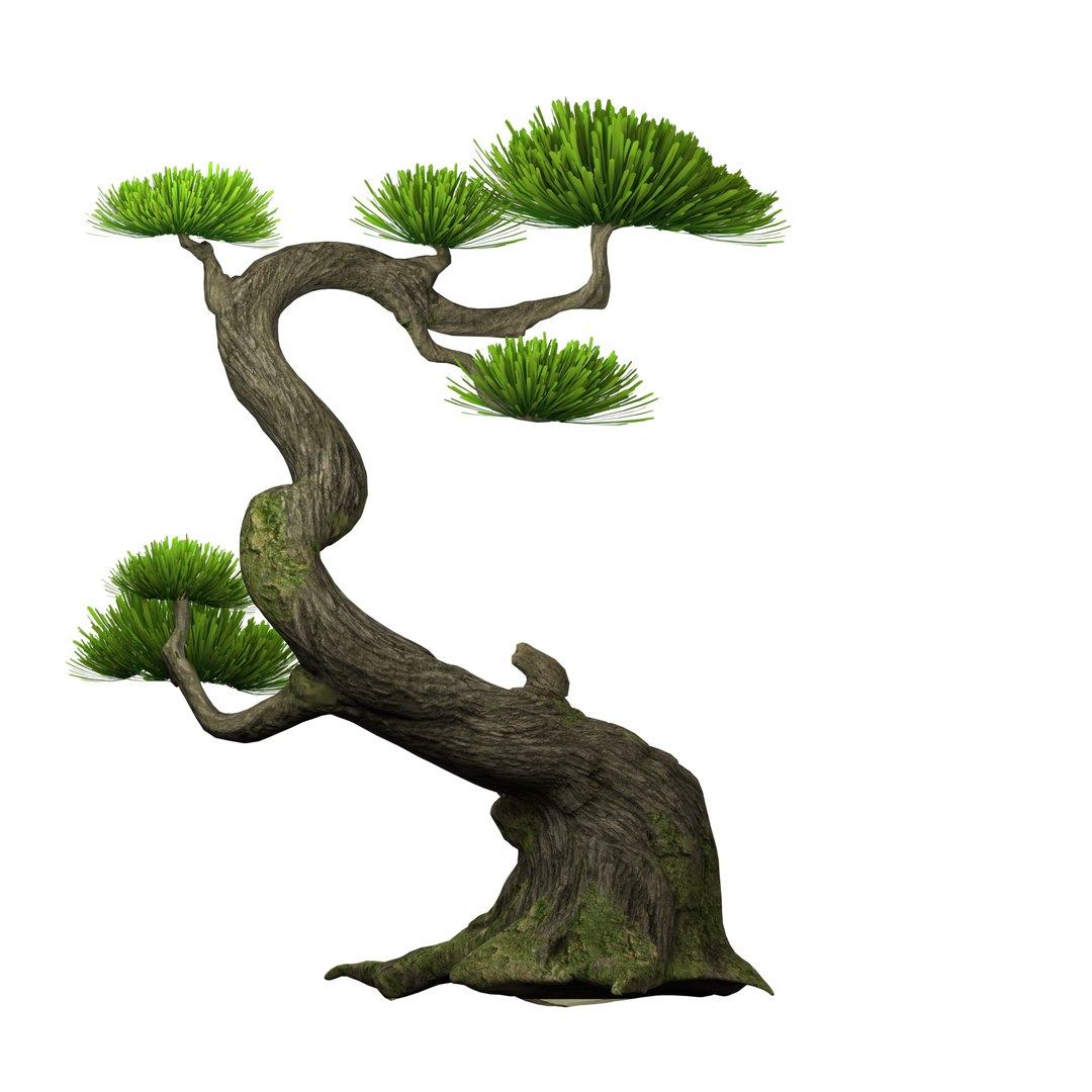 3D Pine Tree Model - TurboSquid 1473437