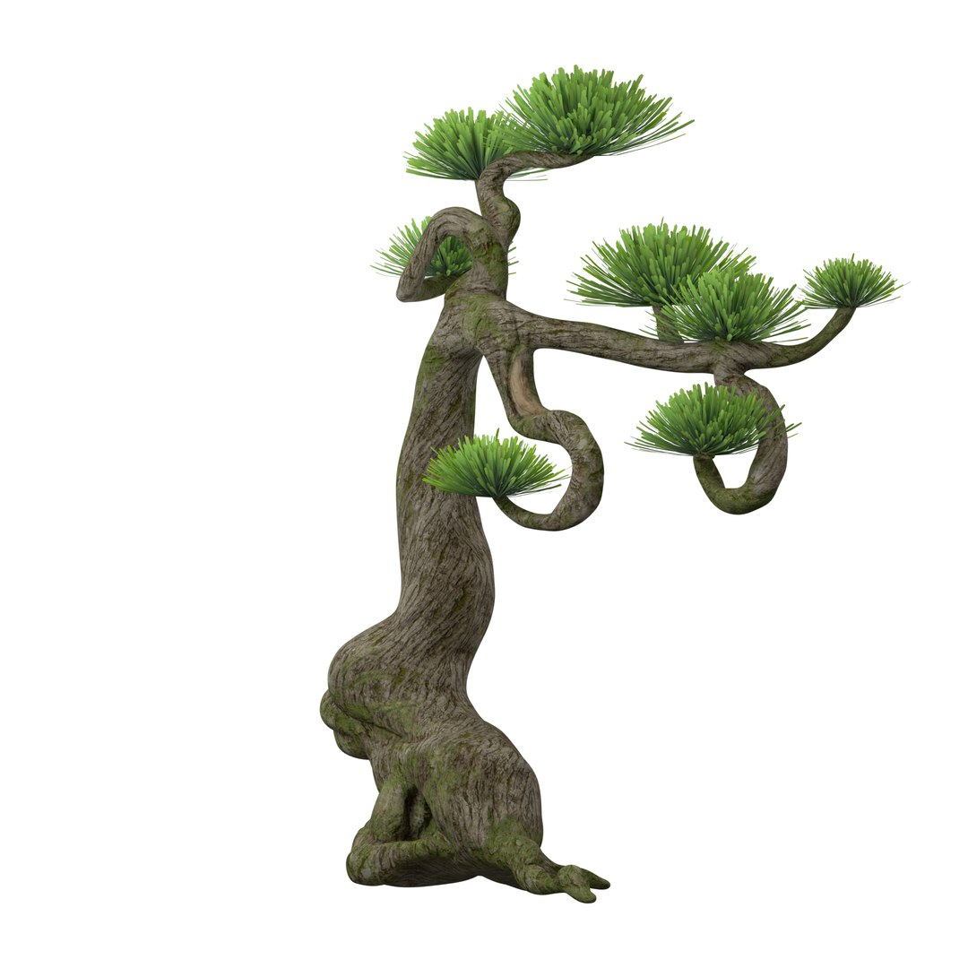 3D Pine Tree Model - TurboSquid 1473437