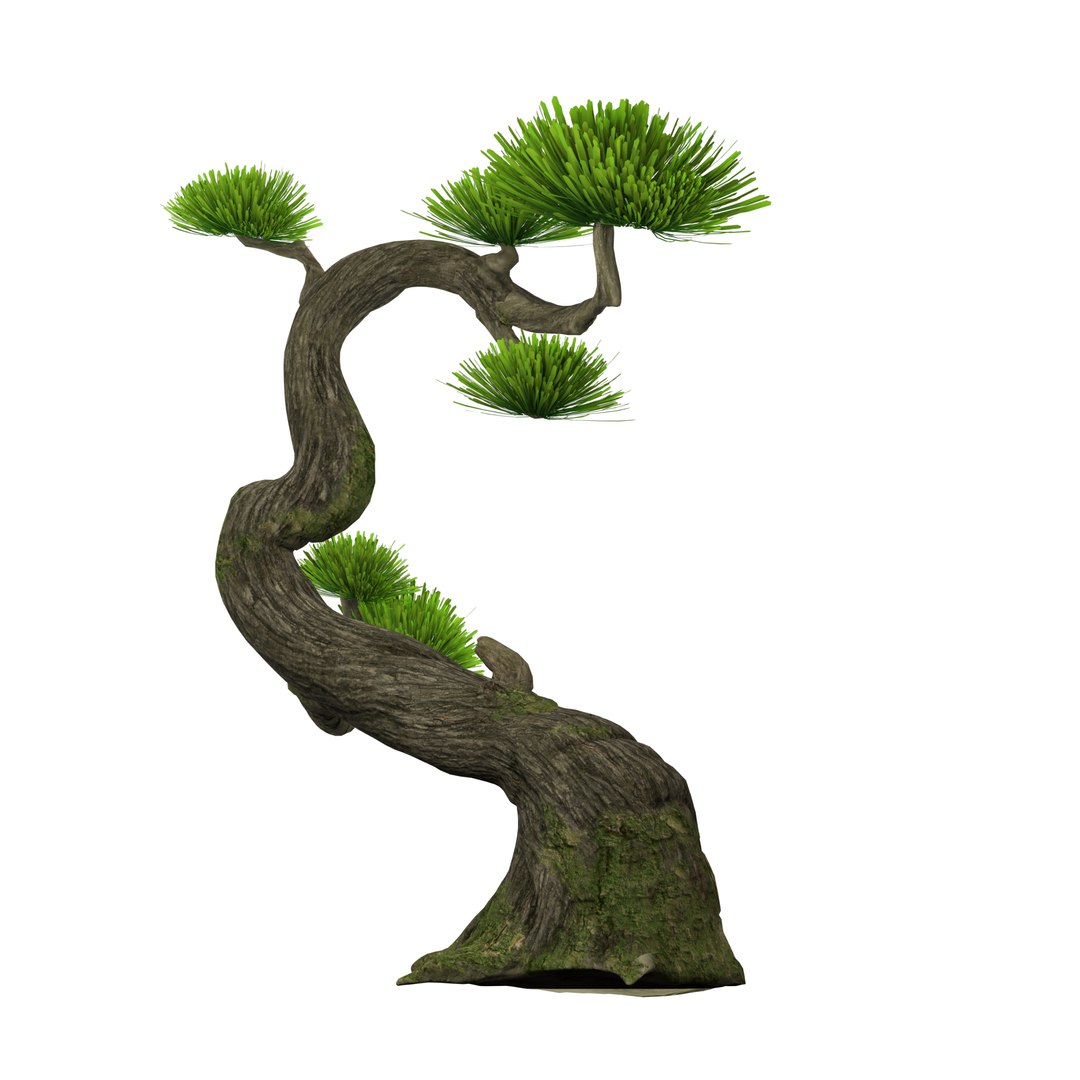 3D Pine Tree Model - TurboSquid 1473437