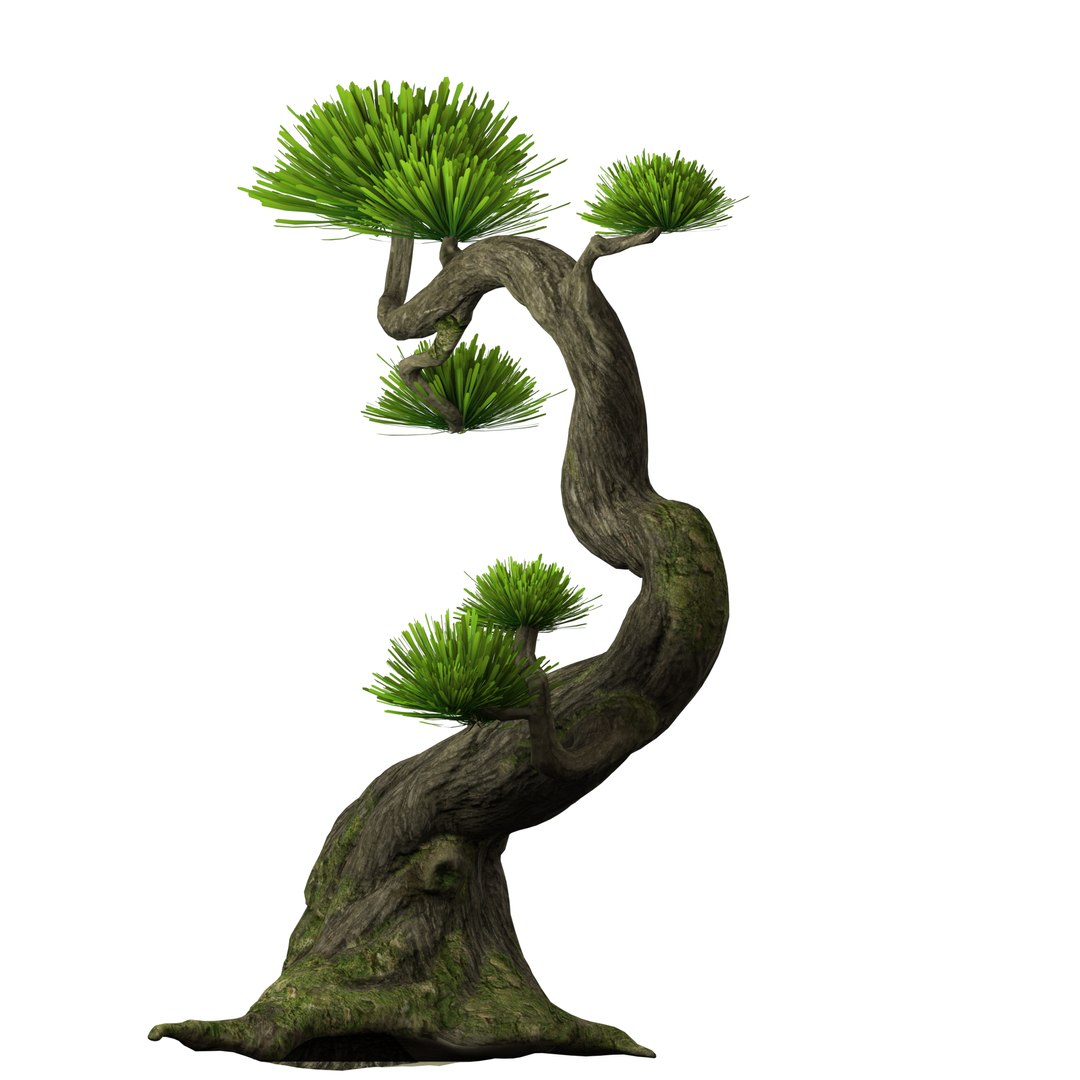 3D Pine Tree Model - TurboSquid 1473437