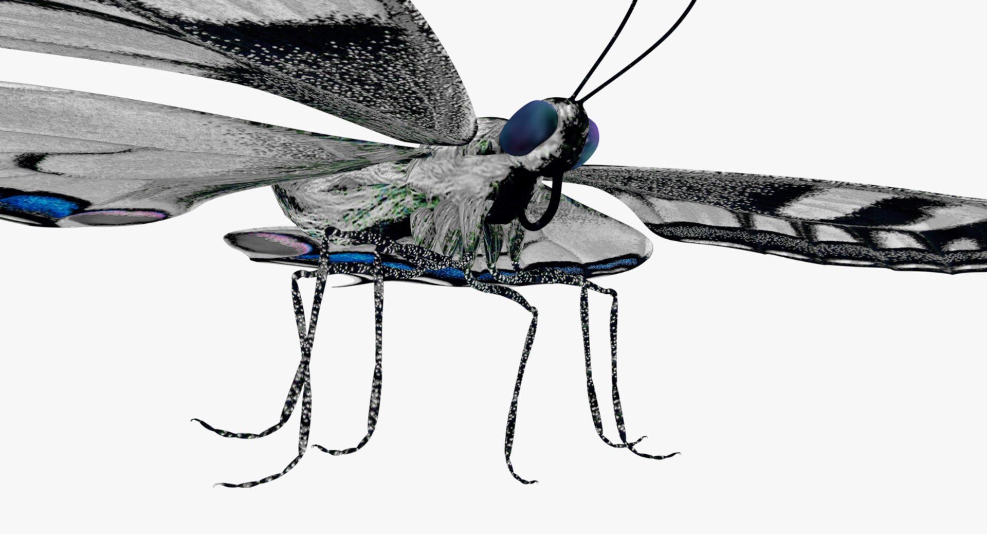 3D Butterfly - TurboSquid 1300339
