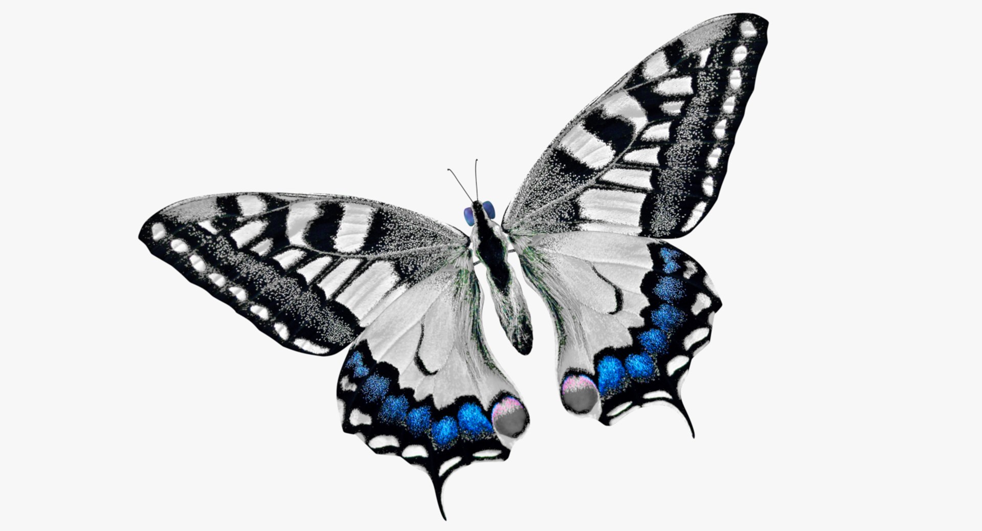 3D Butterfly - TurboSquid 1300339