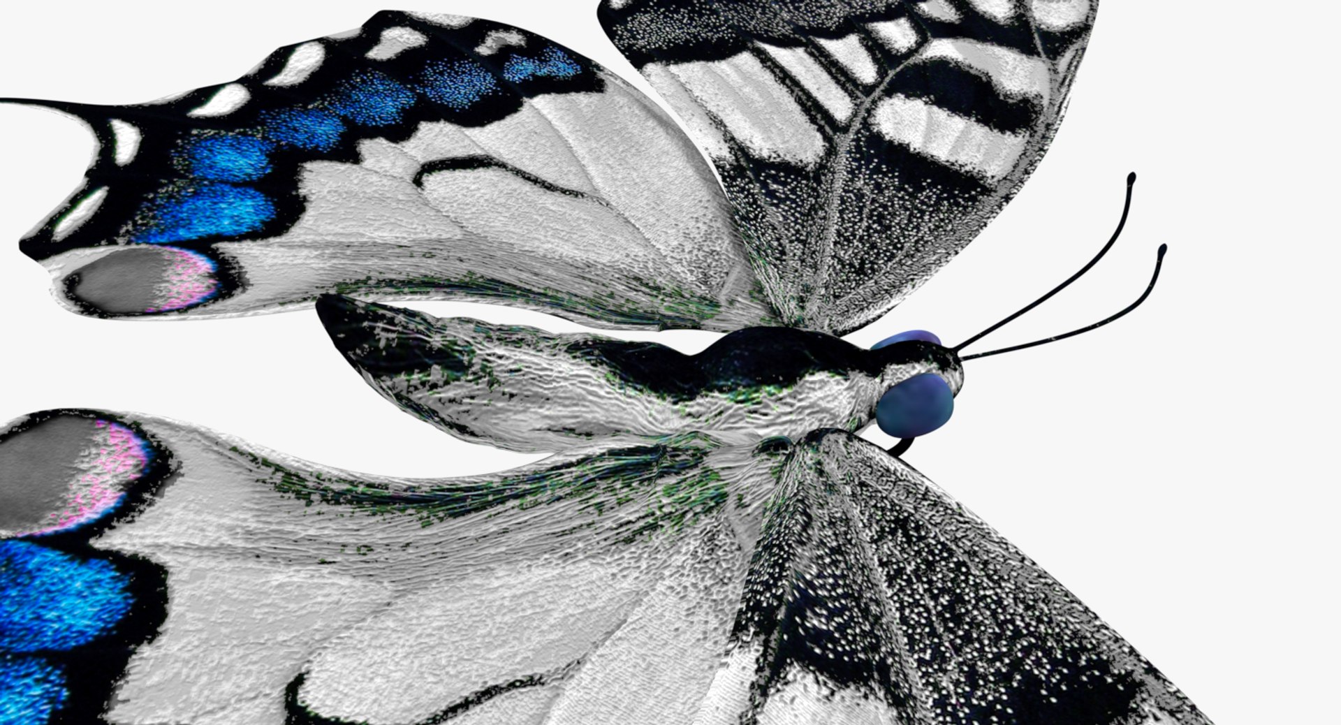 3D Butterfly - TurboSquid 1300339